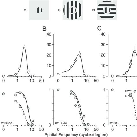 Spatial Frequency Tuning Curves For The Crf And The Surround Ac For