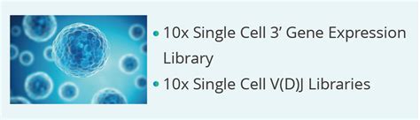 Free Cell Storage Solution For Single Cell Suspensions