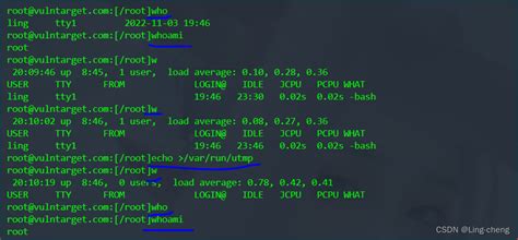 linux系统信息收集 linux信息搜集 csdn博客