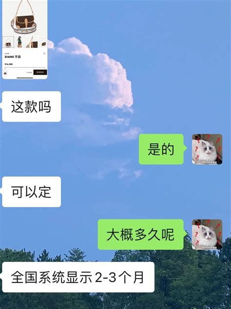 哇哦到手第二个LV M45985 DIANE法棍包 顶奢网