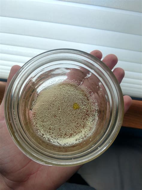 Extracting DMT Makes Me All Warm And Happy Inside R DMT