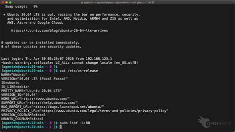 Install OpenResty On Ubuntu 20 04 Via Apt Get OpenResty Official Blog