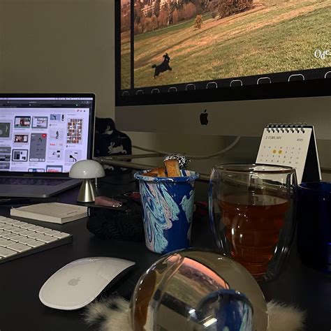 웹디자이너가 데스크테리어에 진심일 때 책상 위는 ‘이렇게 됩니다 네이트뷰