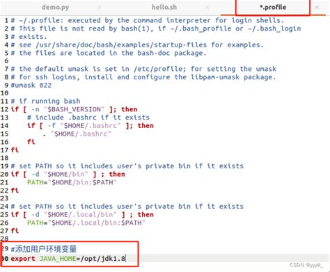 Linux脚本编程：shellpythonperl及其环境变量 Csdn博客
