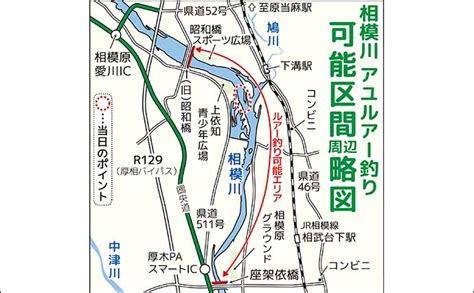 相模川でのルアーアユ釣り（アユイング）で18cm頭に鮎11尾 2時間の釣行で手中 Tsurinews