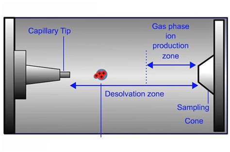 Electrospray Ionization Esi Theory Chromacademy