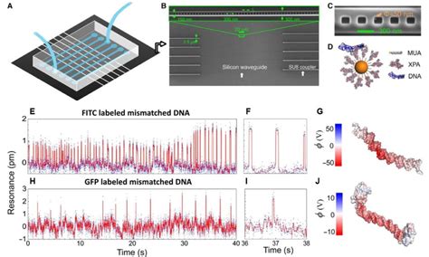 A Illustration Of The Phc Sensor System Consisting Of The Silicon Download Scientific