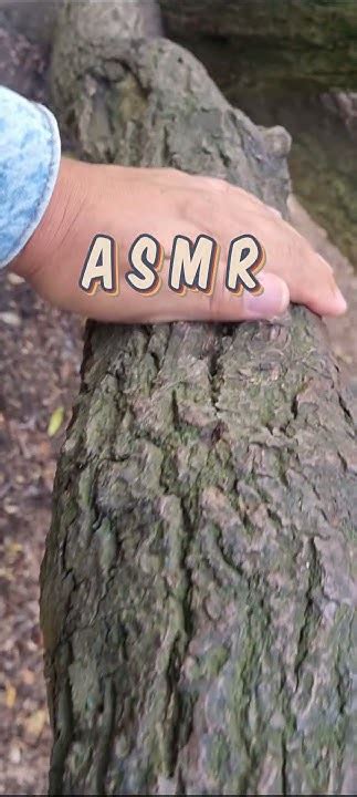 Asmr Quiere Masajearte Arbol Y Sentir Tu Fuerza Shorts Youtube
