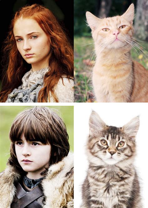 Shadow Cat Game Of Thrones At Bailey Lutz Blog