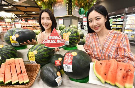 맛있는 수박 싸게 사볼까…홈플러스 ‘수박 유니버스 이벤트 매일경제