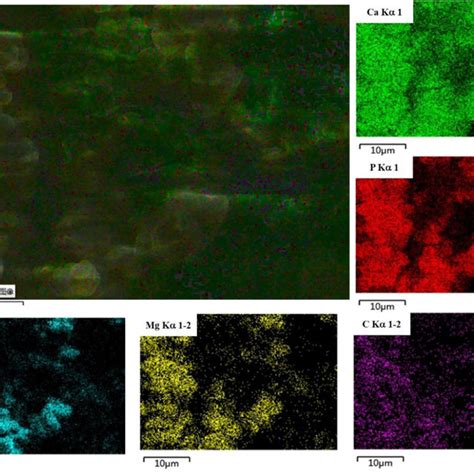 Sem Micrographs With The Element Map Distributions Obtained From Alloy
