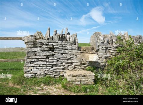 Dry Stone Wall And Stile At Durlston Country Park And National Nature