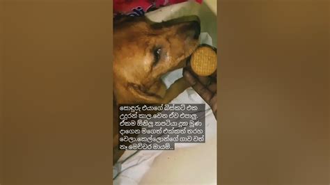 පුදුම ප්‍රශ්න තියෙන්නේ එයාලට Youtube