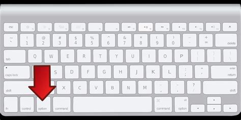 Mac 上的 Option 键是什么以及它的用途是什么？