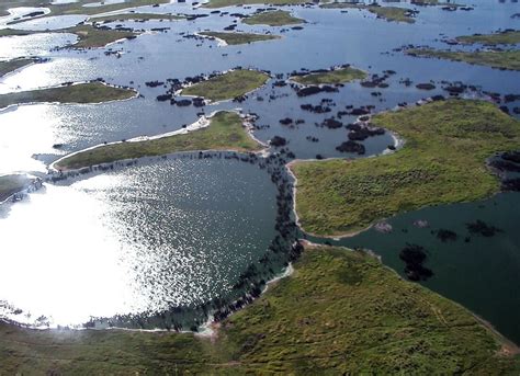 Pantanal Conservation Area Sanctuary For Wildlife And Wetlands Lac Geo
