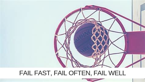 fail fast fail often fail well the key to it project success