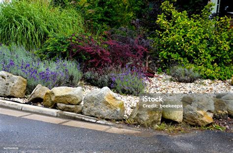 계단이있는 계단식 지형의 화단에 사암 벽과 돌 자갈 표면이있는 꽃 바위 정원과 계단 허브 가든 도로 옆에 대한 스톡 사진 및 기타 이미지 Istock
