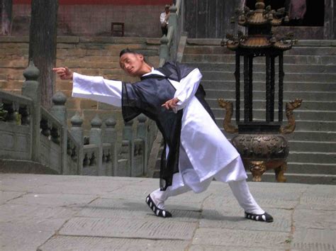 Wudang Wushu 2 Qi Gong Tai Chi Types Of Martial Arts Trapped Gas