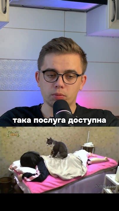 у Японії коти роблять масаж Youtube