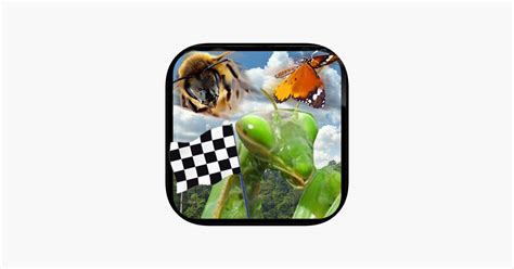 ‎app Store에서 제공하는 Insect Race