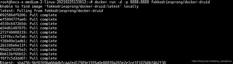 Apache Druid未授权命令执行漏洞复现cve 2021 25646 Csdn博客