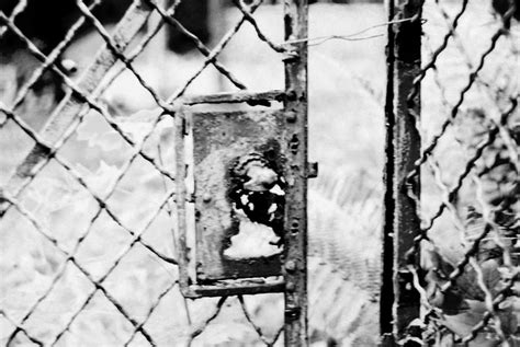 Open By Darknetcs On Deviantart
