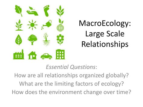 Ppt Macroecology Large Scale Relationships Powerpoint Presentation