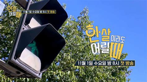 한 살이라도 어릴 때 티저 한 살이라도 어릴 때 산다라박 허경환 이채영 홍지윤의 인생 도전기│한 살이라도 어릴