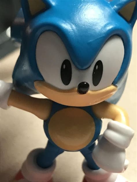 Sonic Came To Class With Me Again Had An Even Better Day R