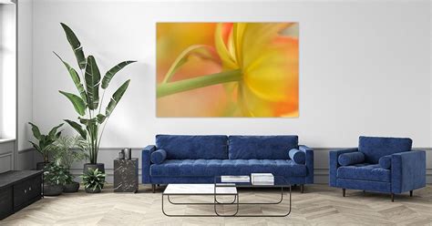 Tulp Van Alexandra Bijl Op Canvas Behang En Meer
