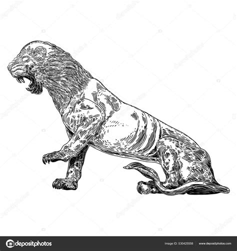 Tiger Roaring Drawing White Background Illustration Angry Growling