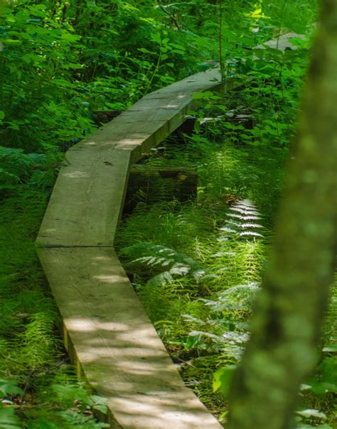 The Walkabout Isle Royale National Park Day 1 Allllll Aboooooaaaarrd