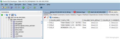 Sql Developer 导入csv数据sqldeveloper导入csv文件 Csdn博客