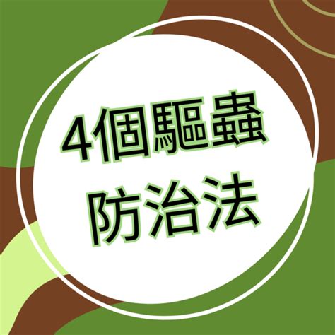 回南天潮濕｜連日濕度達100 4類昆蟲入侵兼播菌 專家教4大驅蟲防治法