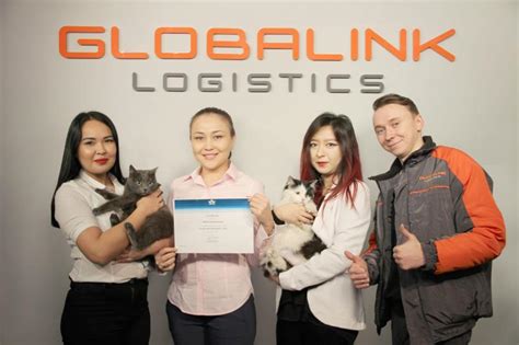 Faisal Shakeel On Linkedin