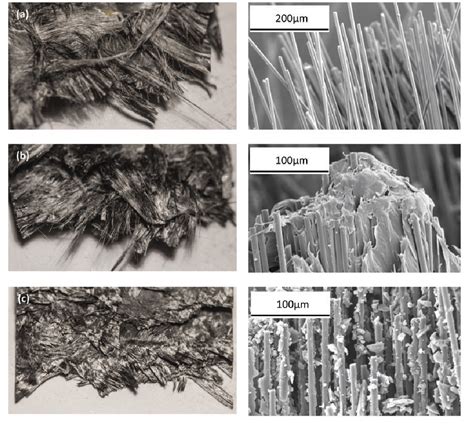 Figure 1 From Long Discontinuous Carbon Fibrepolypropylene Composites For High Volume