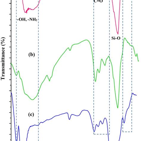 Ftir Spectra Of A Cts B Cts Bz C Cts After Ro16 Adsorption And D