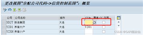 Sap770系统fi模块配置（给信贷控制区分配公司代码）sap 公司代码没有间隔规定允许 Csdn博客