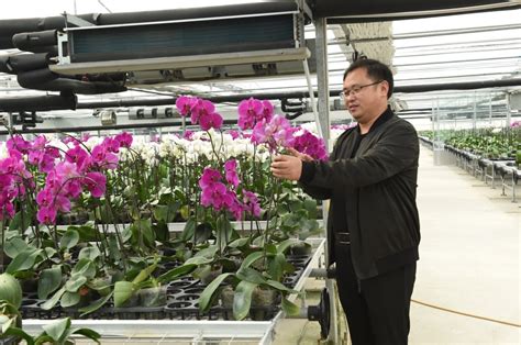 镜走盐都 盐都日报