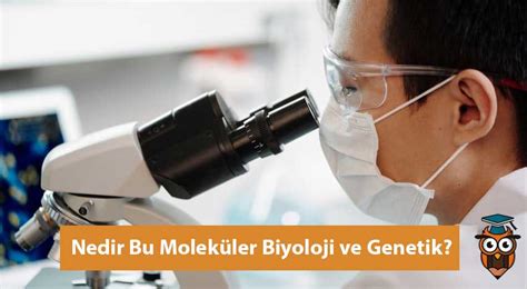 Moleküler Biyoloji Ve Genetik Nedir Özel Ders Alanı