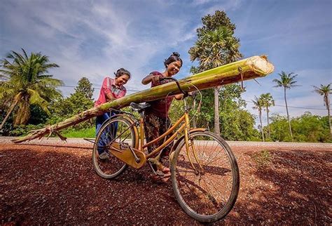 For Our Community Partners In Cambodia This Tree Trunk Isn T Just The