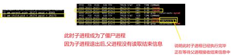 Linux进程状态僵尸进程孤儿进程进程优先级进程调度与切换处于僵尸状态的进程优先级是什么 Csdn博客