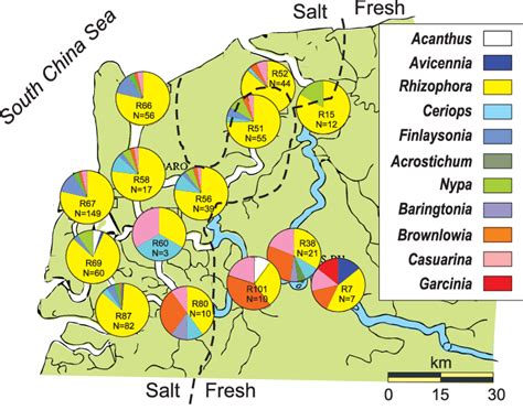 Proportion Of Mangrove Taxa Identified In Sediment Samples In The