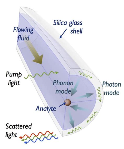 New Photonic Sensor Opens The Door To High Speed Biodetection E