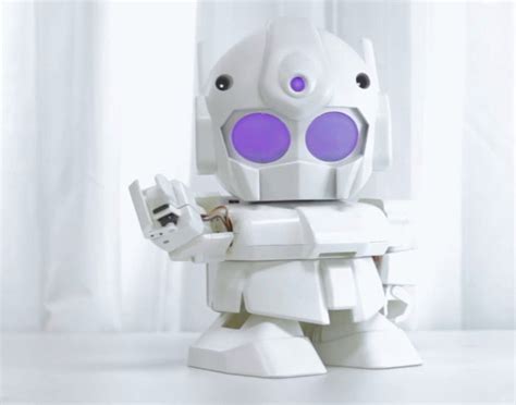 D Print Your Very Own Raspberry Pi Powered Rapiro Robot Video