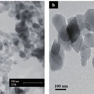Images of scanning electron microscopy (SEM) from silicon dioxide (a)... | Download Scientific ...