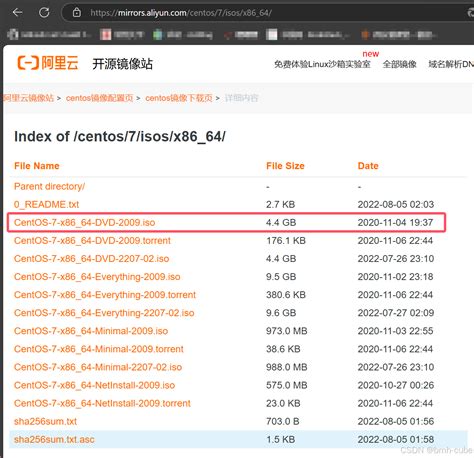 从零开始搭建linux我的世界服务器forge版mincraftforge服务器 Csdn博客