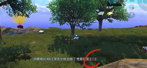 和平精英SS18自救除颤器在哪捡 和平精英手游问答 梦幻手游网