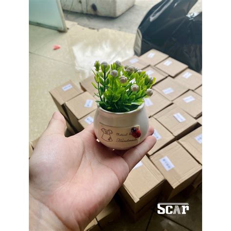 Mô hình set heo heo mini dễ thương trang trí bàn làm việc bàn học tiểu cảnh Shopee Việt Nam