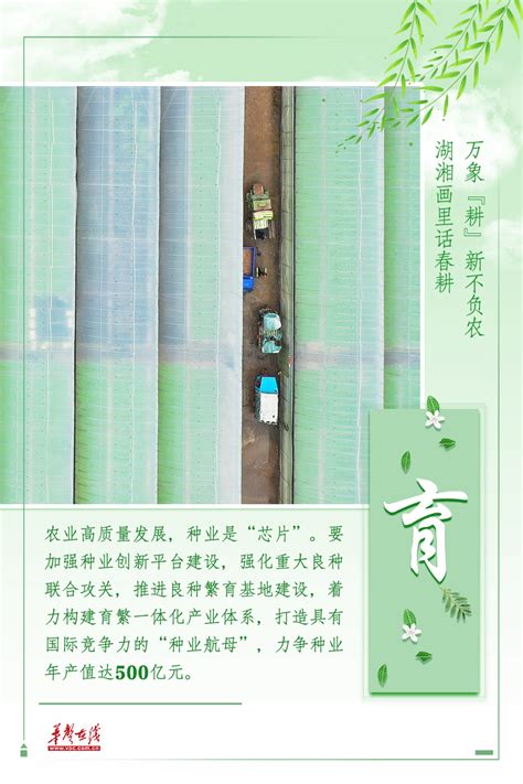 海报万象耕新不负农 湖湘画里话春耕 民生 湖南在线 华声在线